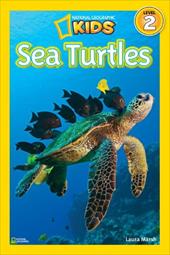 Sea Turtles | MyEnglishGuide.com